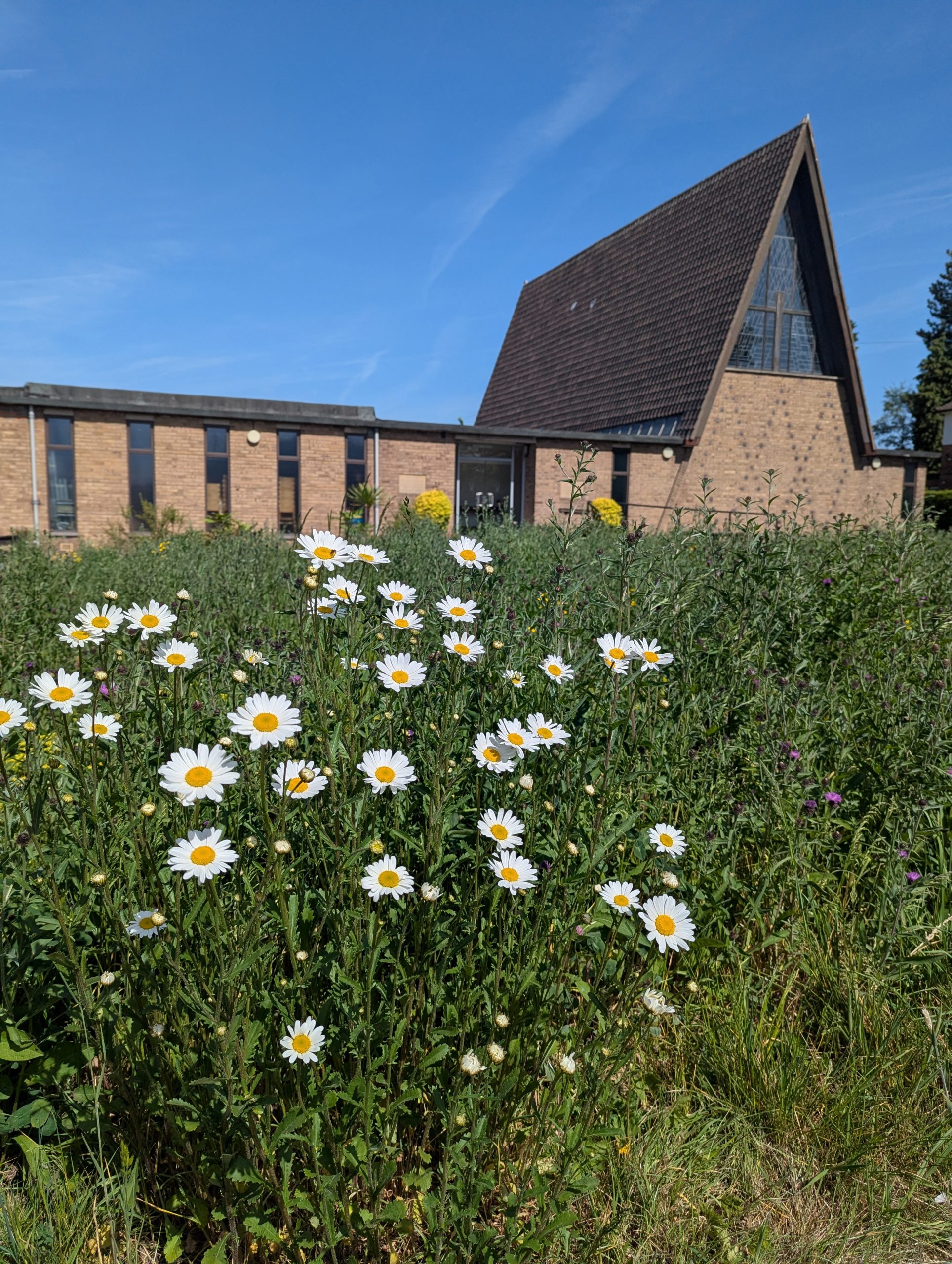 Bren Brews - The Bren Project